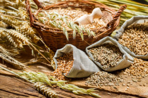 O que são cereais integrais? – Mundo da Nutrição